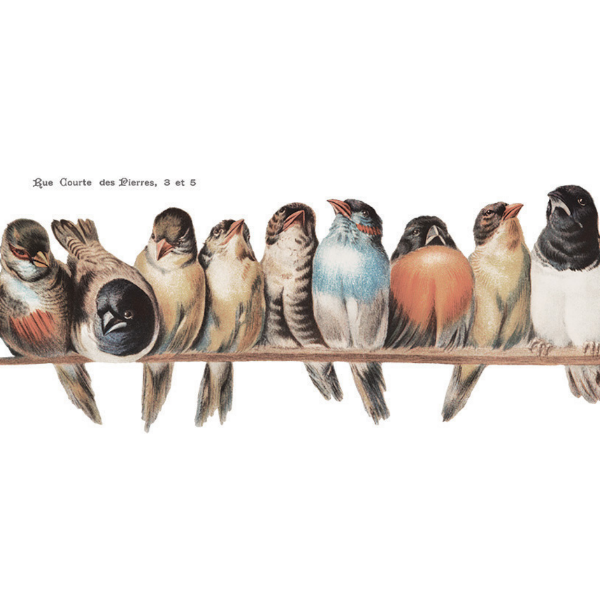 IOD Fall 2021 Release-New Products from Iron Orchid Designs – Milton's ...