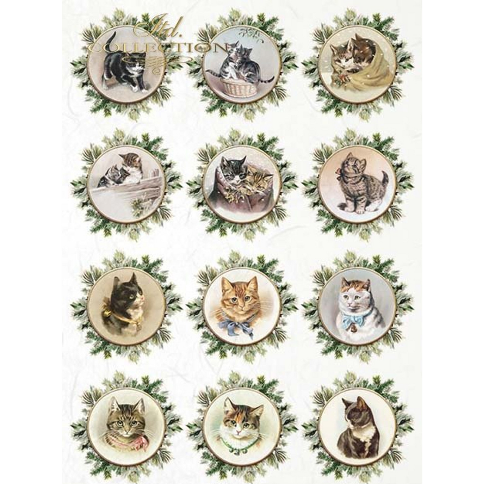 12 Round Mini Cat Portraits - Decoupage Rice Paper – Milton's Daughter