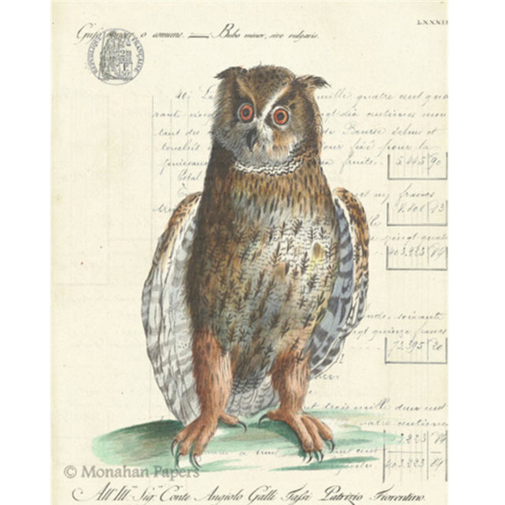 Barn Owl – Milton's Daughter