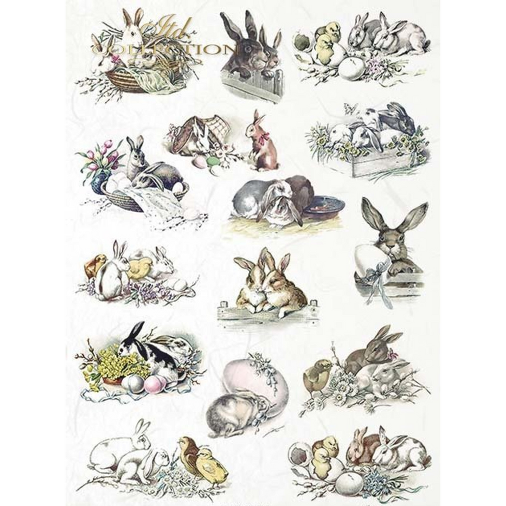 Illustrated Rabbit Scenes - Decoupage Rice Paper – Milton's Daughter