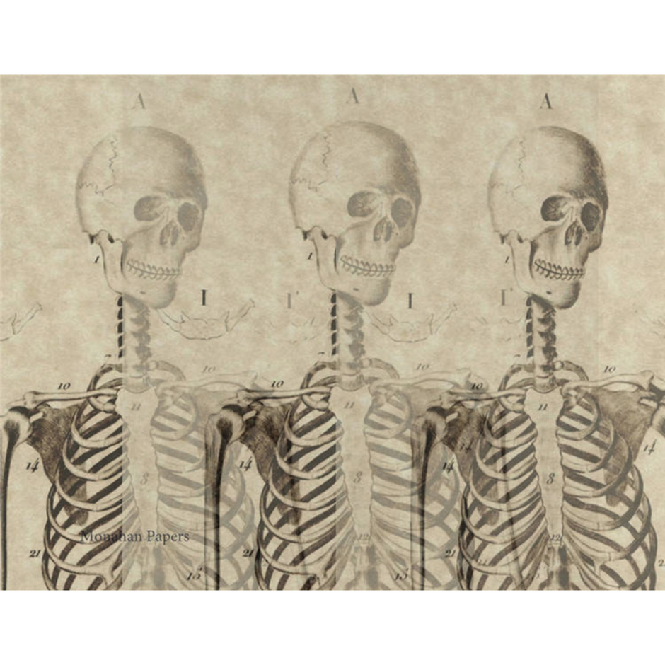 Monahan Papers -Decoupage Paper, Aged Paper for Mixed Media – Milton's ...