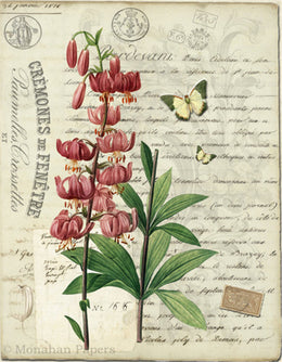 Botanical 88 Decoupage Paper 11"x17" by Monahan Papers – Milton's Daughter