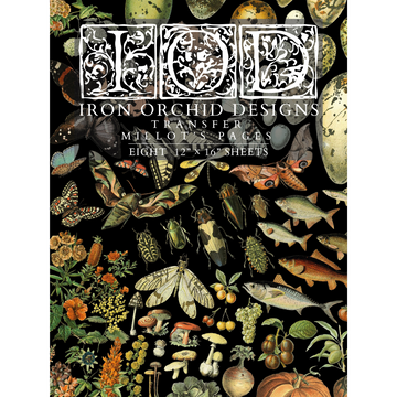 IOD Transfers by Iron Orchid Designs – Milton's Daughter