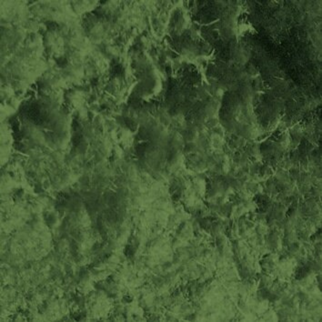 Moss Effect Paste by Pentart – Milton's Daughter