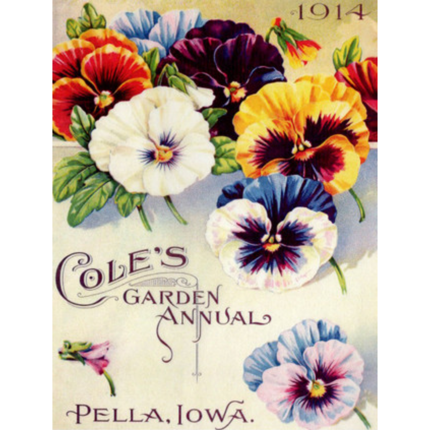 Cole's Garden Annual Pansies 1914-decoupage rice paper – Milton's Daughter